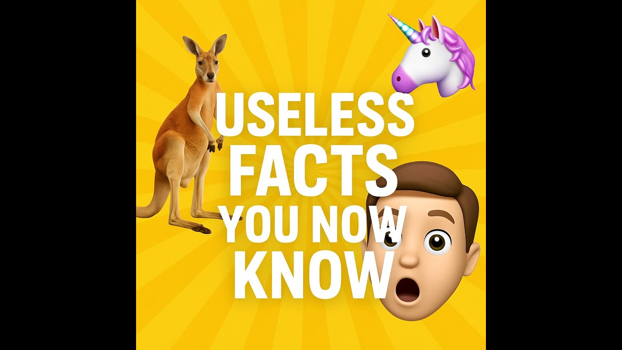 10 Useless Facts You Can T Unknow Youtube