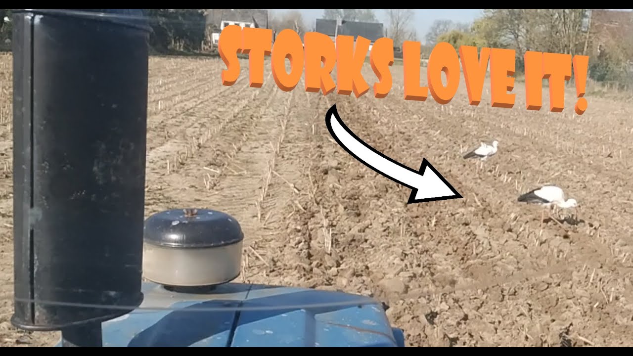 Working Newly Bought Land Youtube