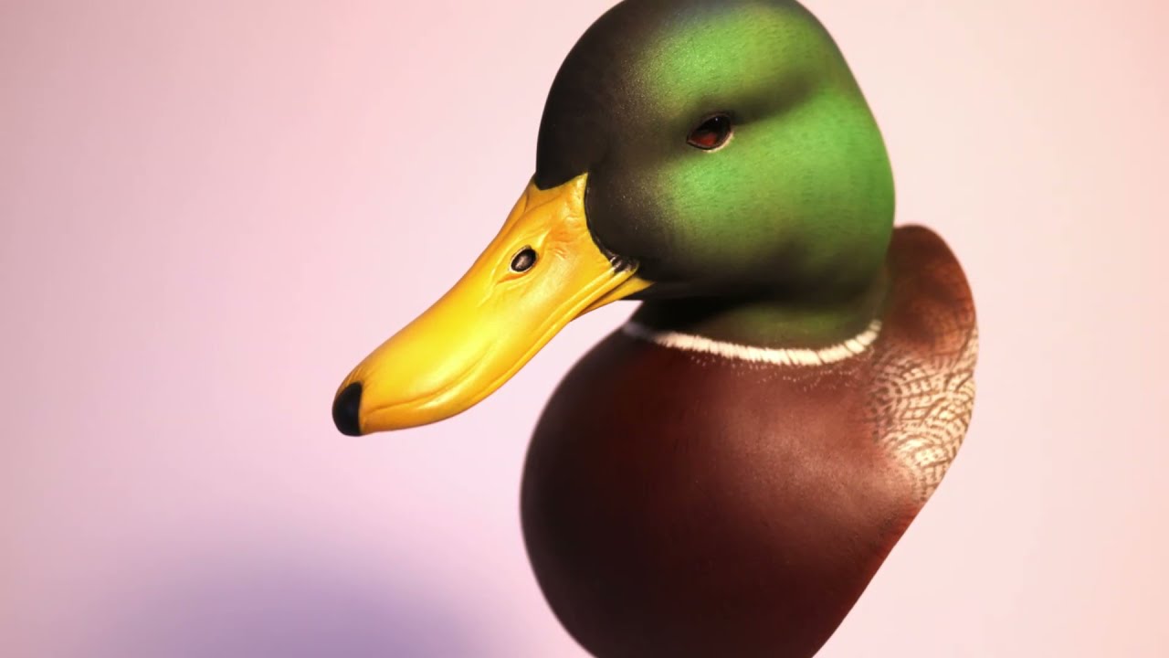 Power Carving A Duck Decoy Head From Wood Time Lapse Youtube