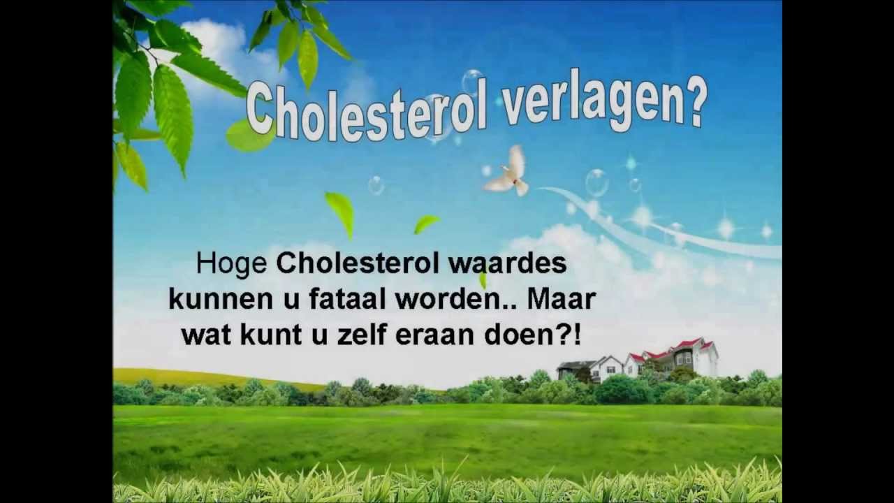 Cholesterol Verlagen Youtube