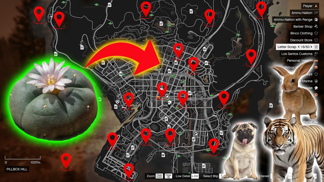 Gta 5 Peyote Plant Map Story Mode Gta Online All Peyote Plant