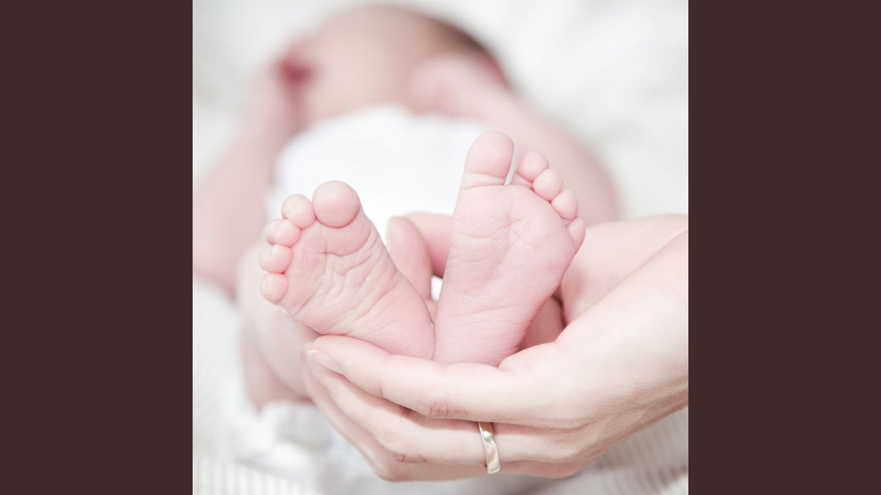 Chicken Dance Youtube Music