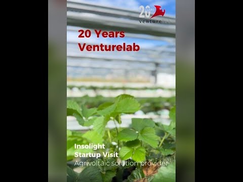 Visiting Insolight Providing Agrivoltaic Solutions Youtube