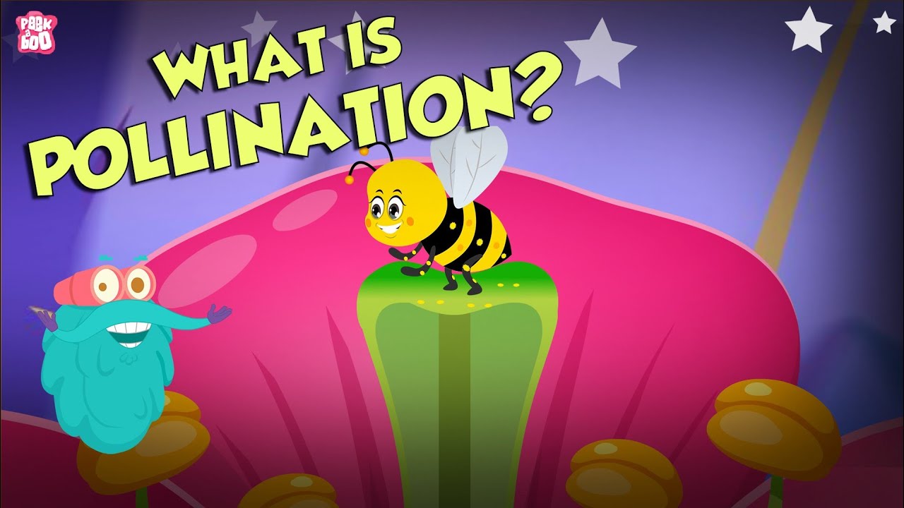 What Is Pollination Pollination The Dr Binocs Show Peekaboo Kidz