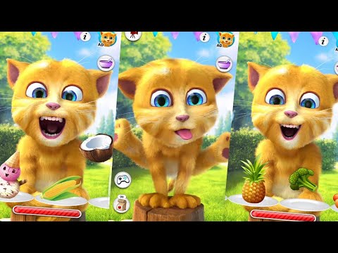 Talking Ginger Effects 2 Talking Ginger 2 Food Talking Ginger Cat