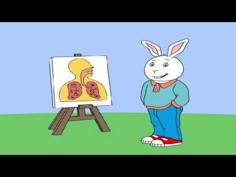 Buster Baxter Lung Defender Arthur Games Pbs Kids Youtube
