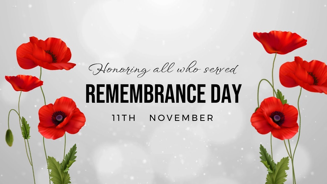 Free Red Poppy Remembrance Day Video Template Customizable Flexclip