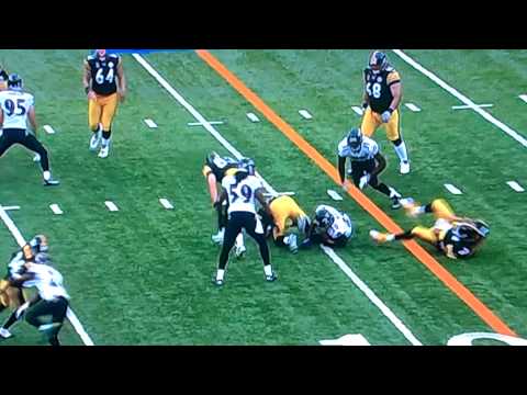 Jarret Johnson Vs Hines Ward Youtube
