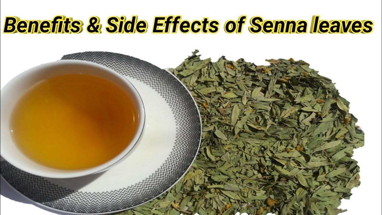 Senna Leaves Senna Tea How To Prepare Senna Leaves Tea Sana Makki