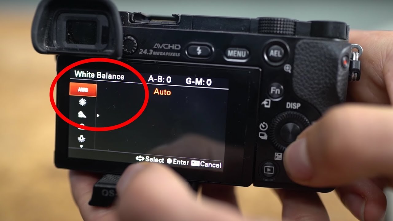 White Balance Easy Explained Photography Beginner Tutorial