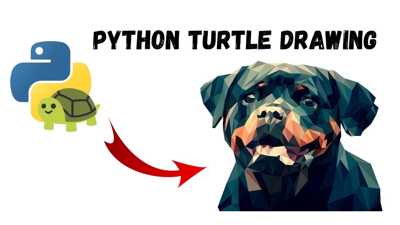 Amazing Python Turtle Dog Drawing Youtube