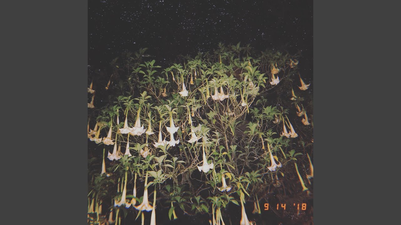 So Safe Feat Sandwoman Youtube