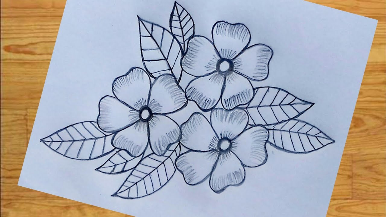 Flower Design Drawing With Pencil Easy Flowers Drawing Flower