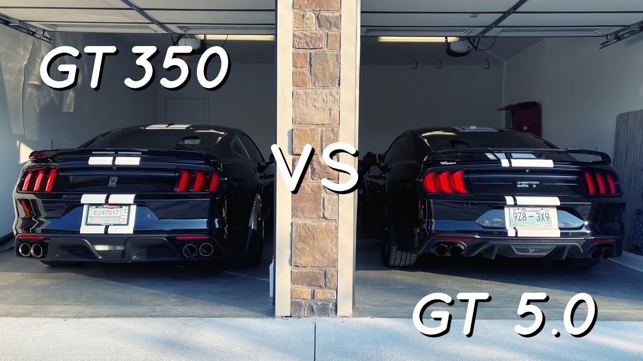 Gt350 Vs Gt Premium At Carmen Morse Blog