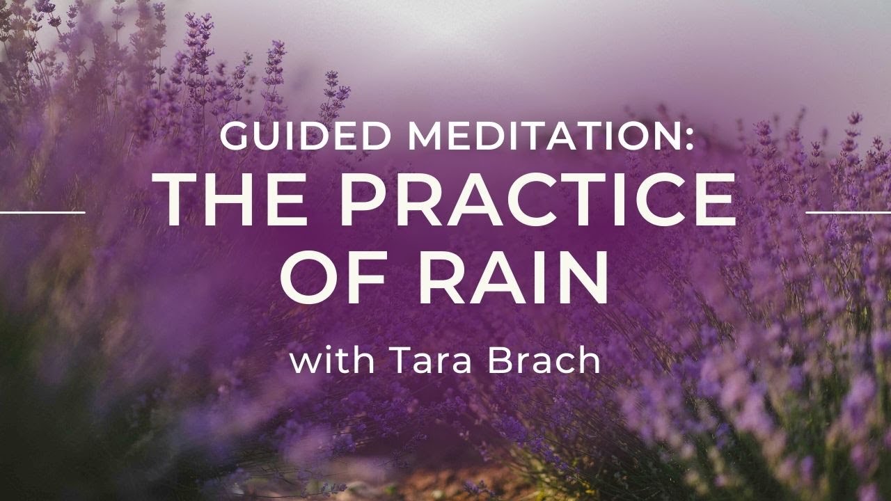 Guided Meditation The Practice Of Rain With Tara Brach Youtube