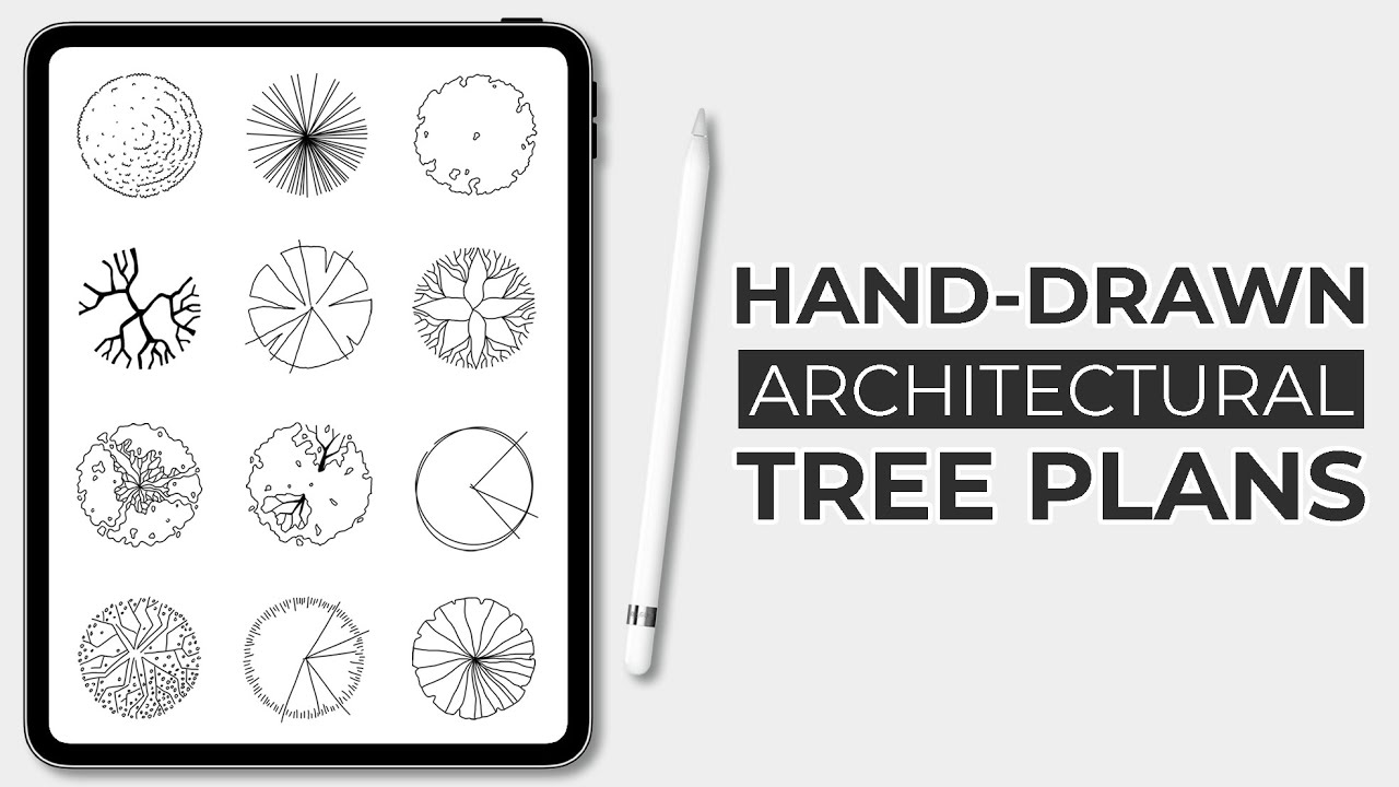 Tree Drawing Procreate At Karima Parker Blog