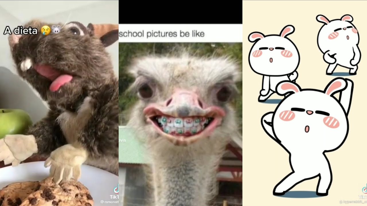 Funny Tiktok Compilation Part 2 Youtube