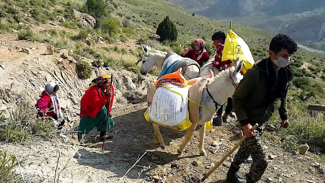 The Odyssey Of The Nomadic Nomads A Journey To The Mountains Youtube