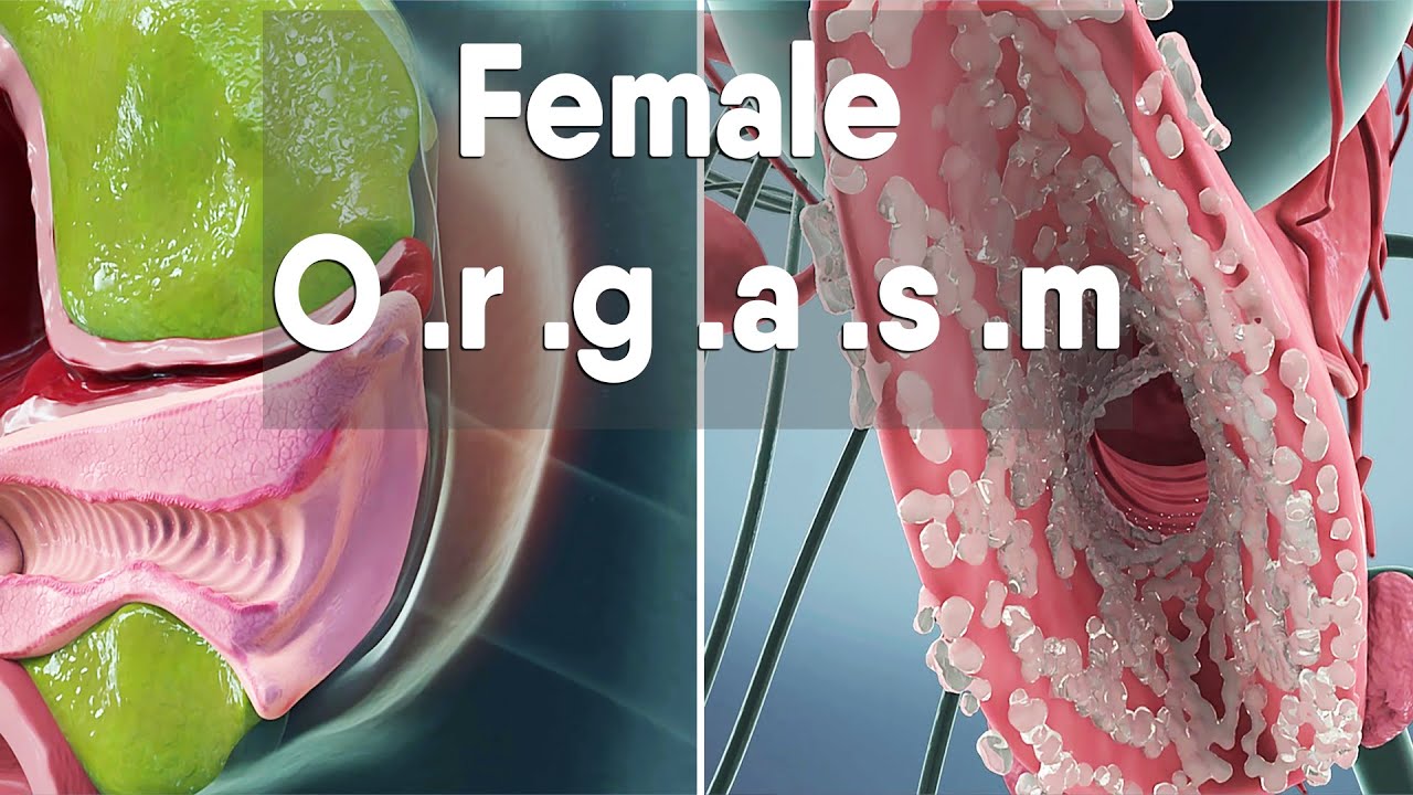 The Science Behind Female Orgasms Learn How To Understand And Enhance