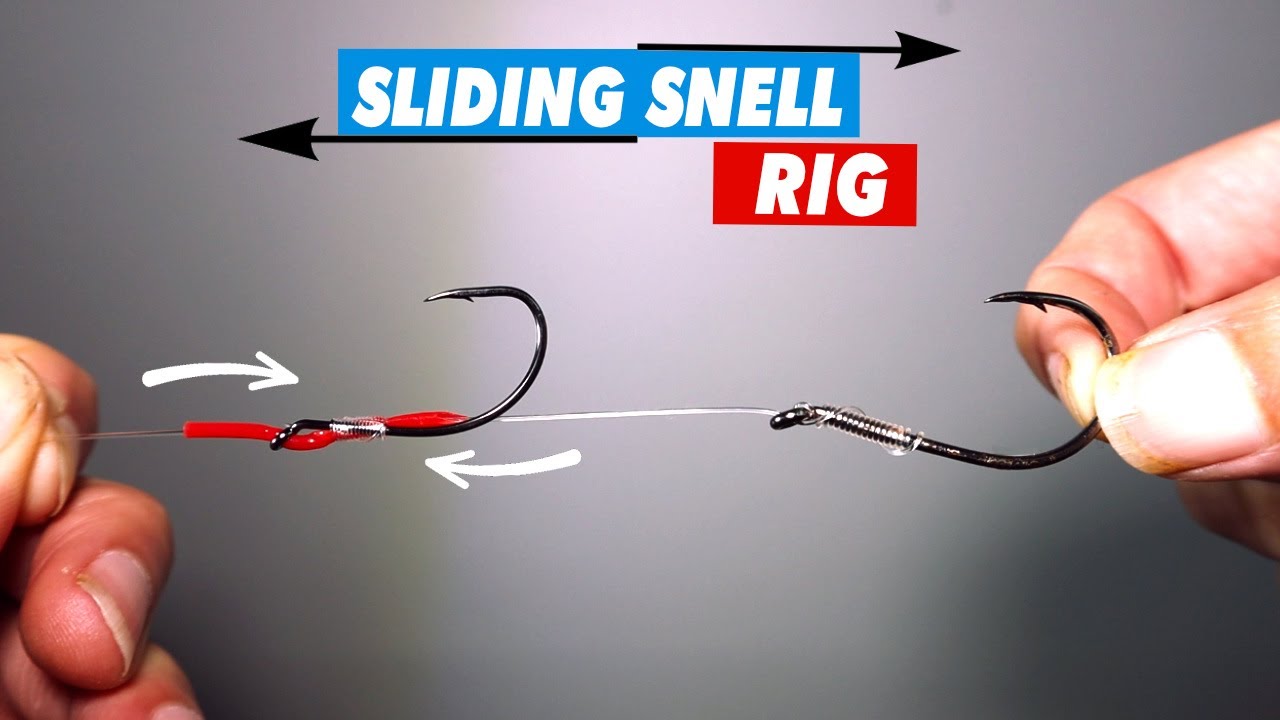 Sliding Snell Rig How To Make A Snapper Rig Gummy Shark Rig Youtube