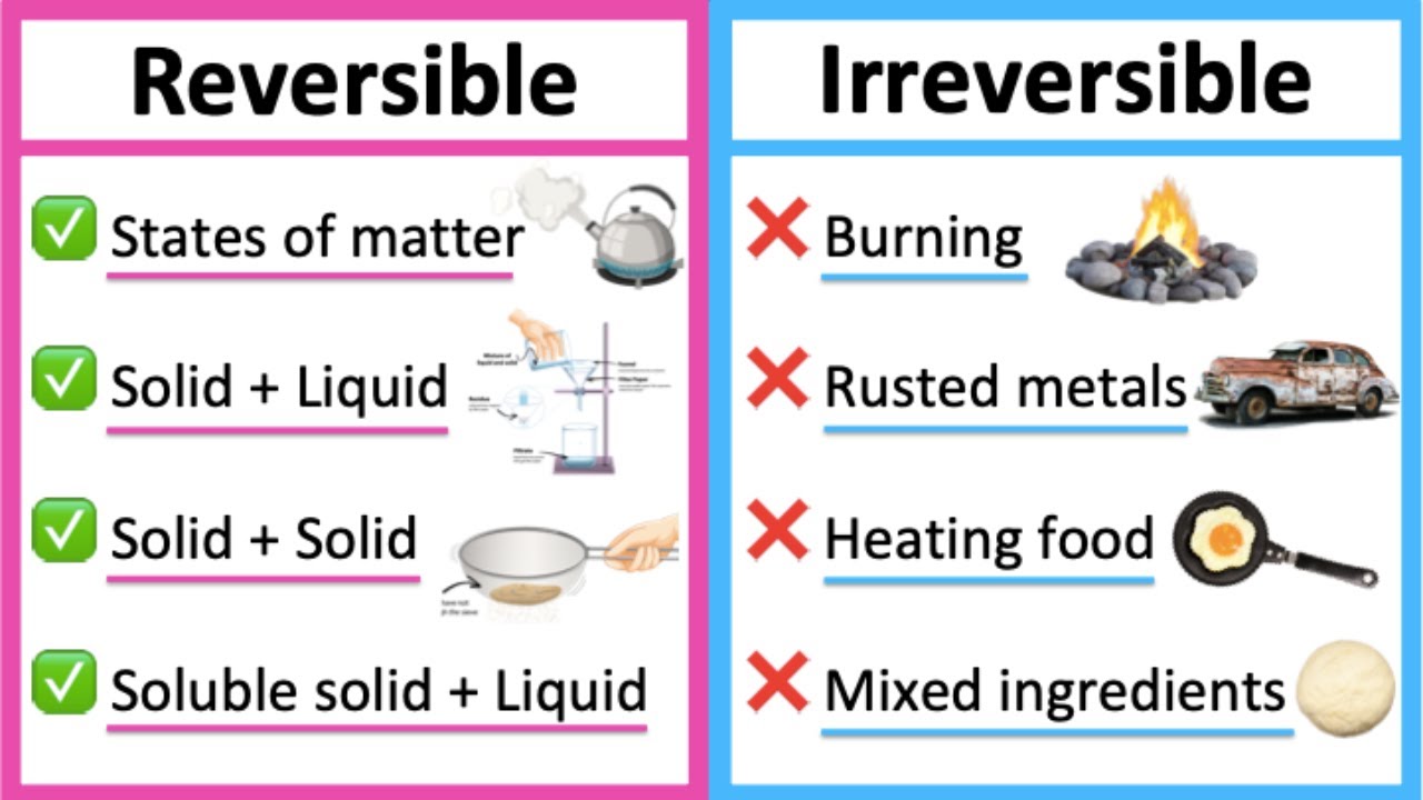 Reversible And Irreversible Processes Definition Exam Vrogue Co