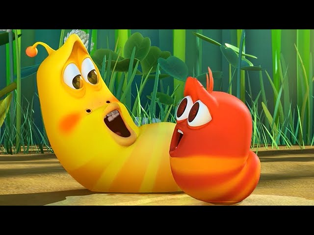 Larva The Beginning Cartoon Movie Cartoons For Children Larva