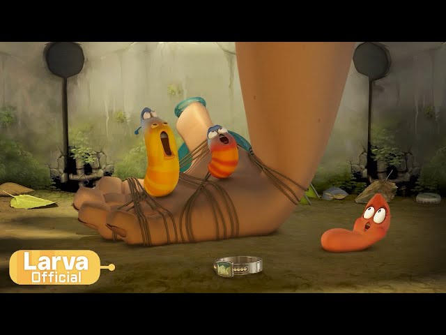 Animation Compilation Larva Tuba Official Videos For Kids