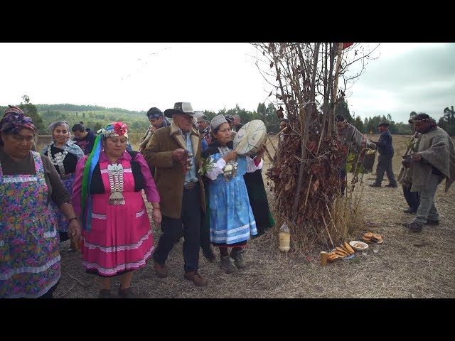 Los Mapuches Luchan Por Su Lengua Y Español Ele Video Lecciones
