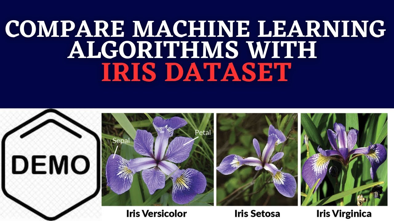 Detailed Comparison Of All Machine Learning Algorithms With Iris