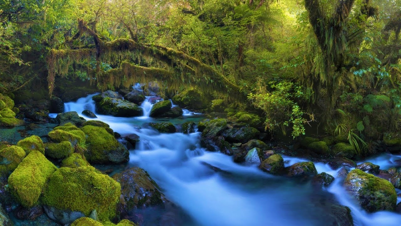 Beautiful Instrumental Hymns For Sleep And Relaxing Peaceful