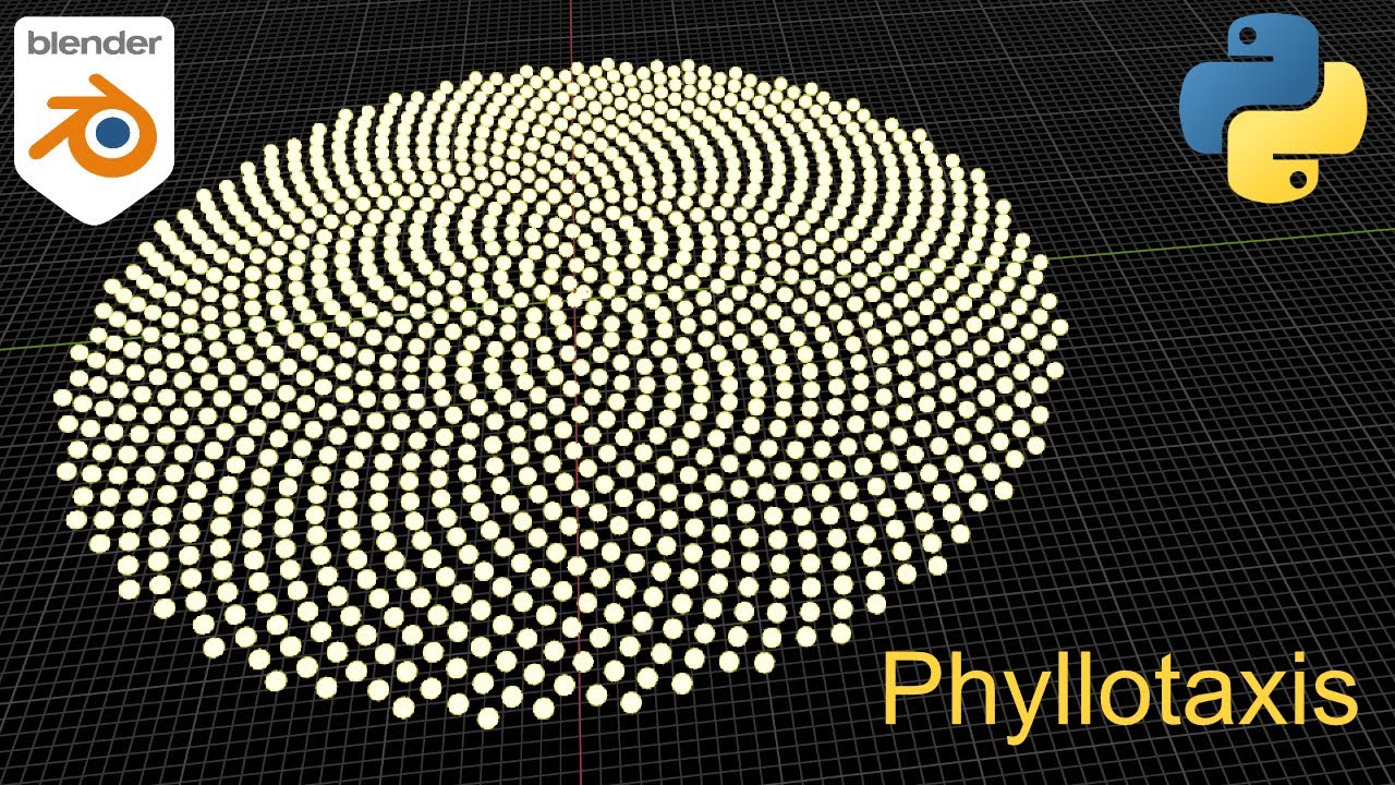 Beginner Blender Python Tutorial Phyllotaxis Youtube