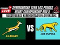 Springboks Vs Wallabies Test 2 Rugby Championship 2025 Live Commentary ...