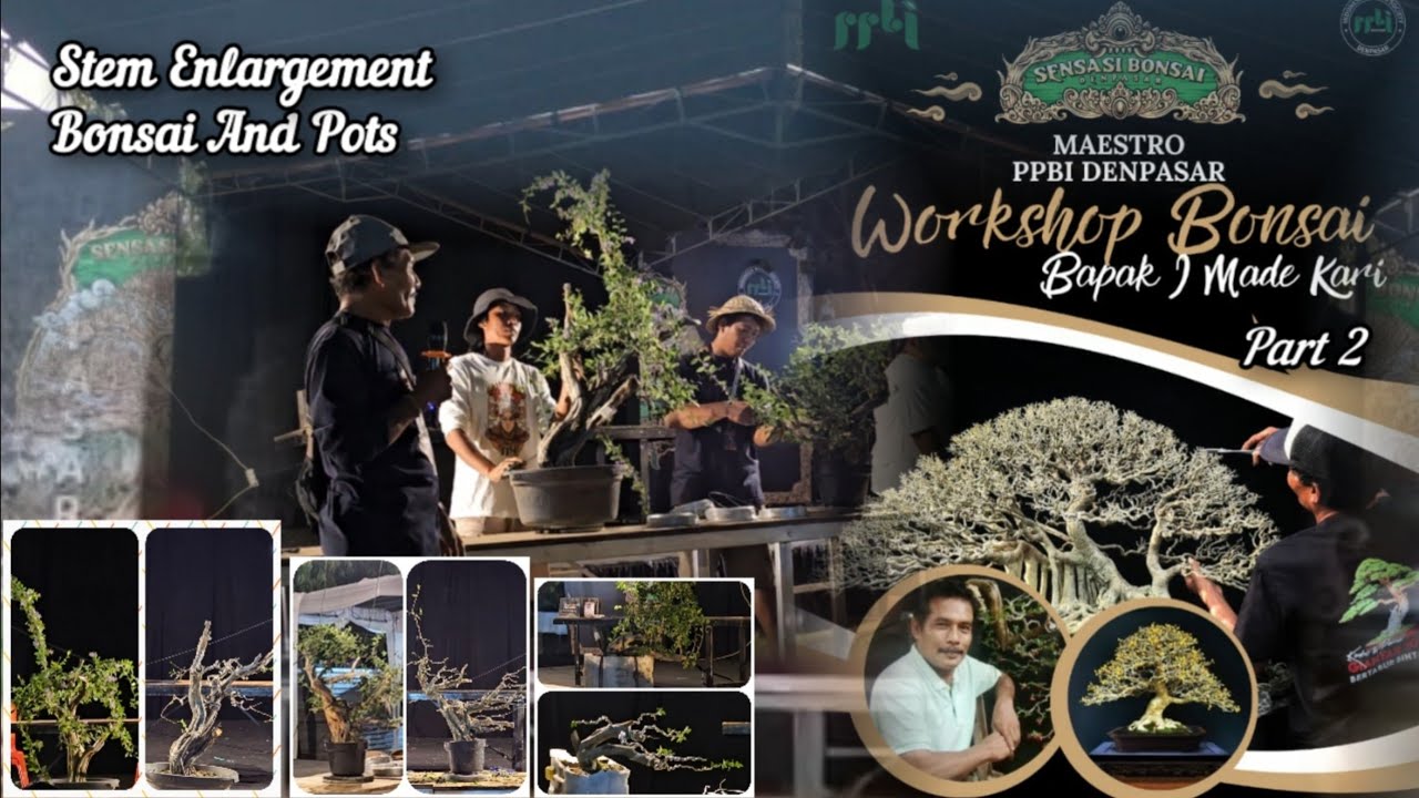Ultimate Bonsai Indonesia Workshop Demo 2023 Bonsai