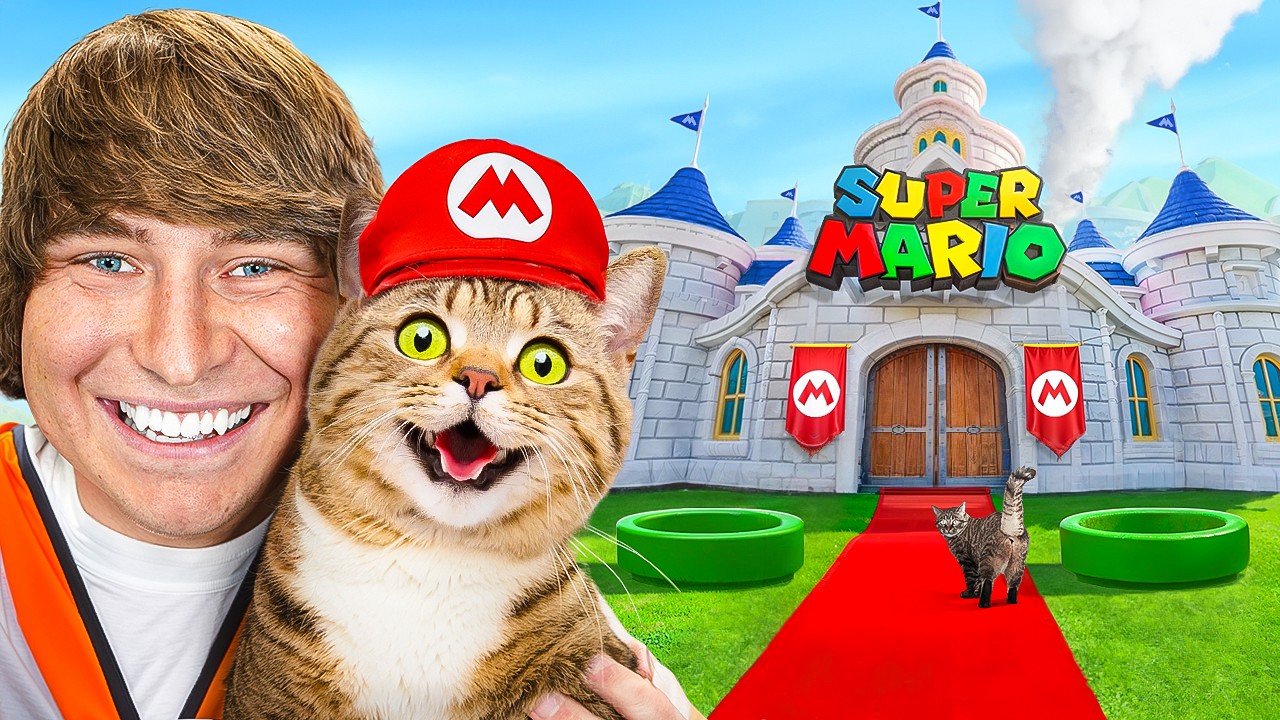 I Built A Super Mario Castle For My Cat Videoblogs