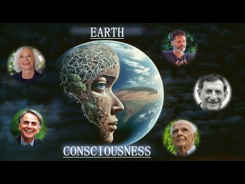 Planetary Consciousness The Emerging Paradigm Youtube