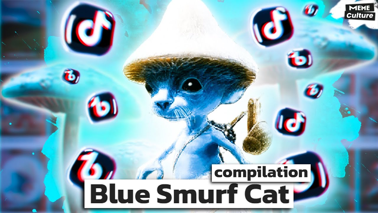 Blue Smurf Cat Meme Tiktok Meme Youtube