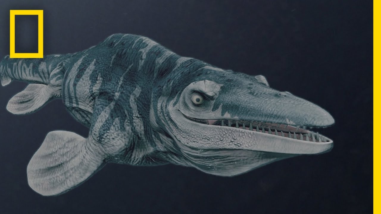 Mosasaurs 101 National Geographic Youtube