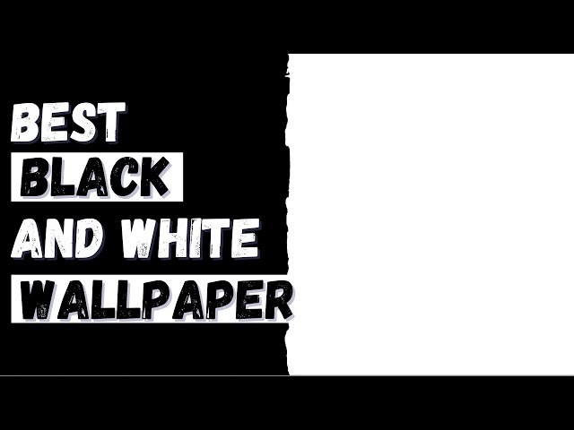 Black And White Wallpapers Wallpaper Engine 4k 4k Infoupdate Org