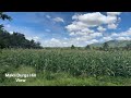 20 Gunta Farm Land For Sale In Doddballapura Green Realtors Mp3 Music ...