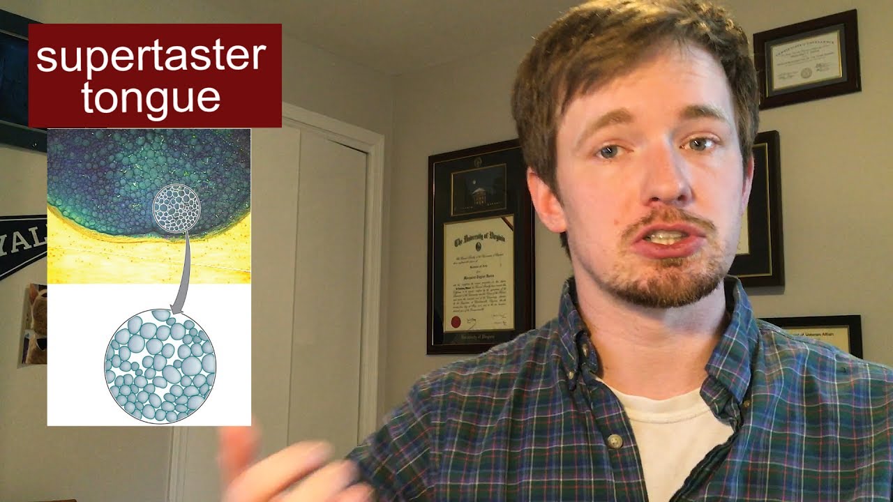 What S A Supertaster Ok Science Youtube