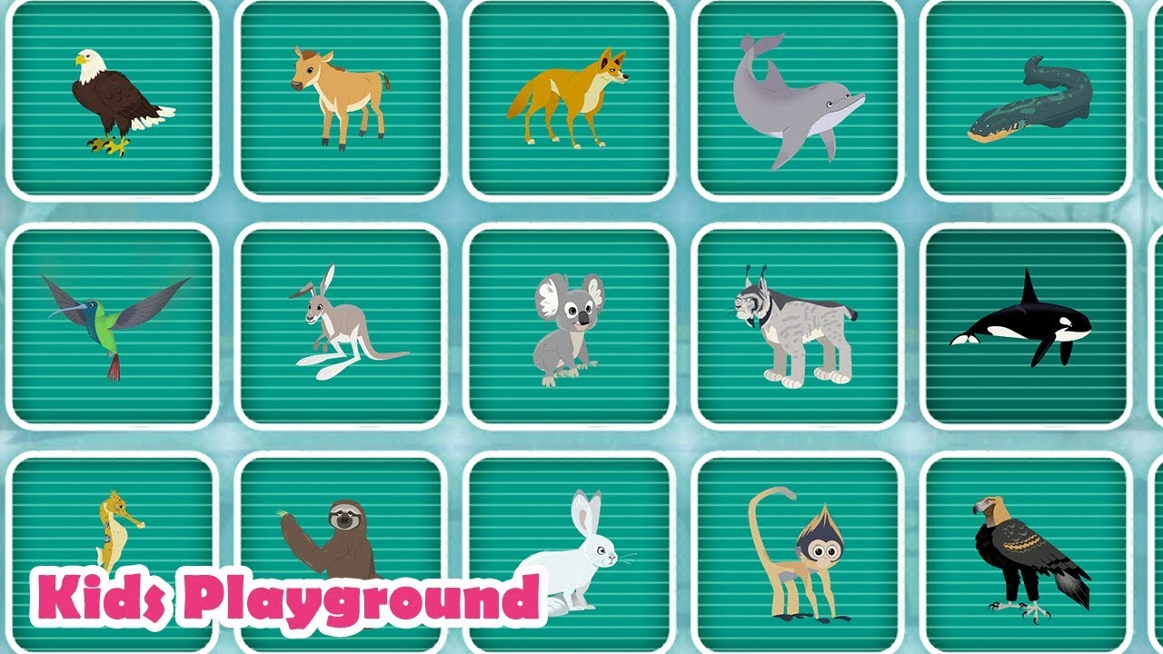 Wild Kratts Rescue Run 19 Creaturepedia Youtube