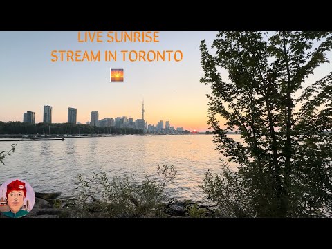 Live Sunrise Stream In Toronto рџњ Torontolive Youtube