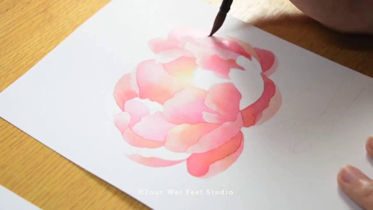 Watercolor Peony Painting Process Youtube