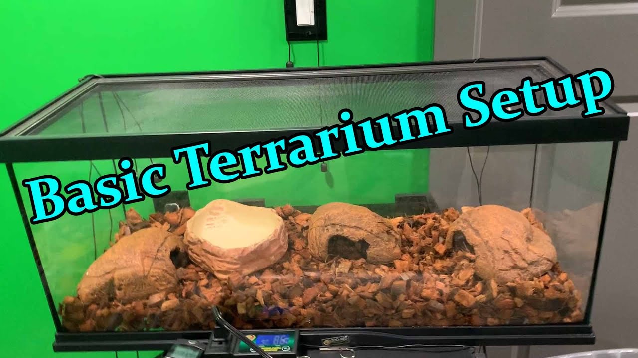 Basic Ball Python Setup Youtube