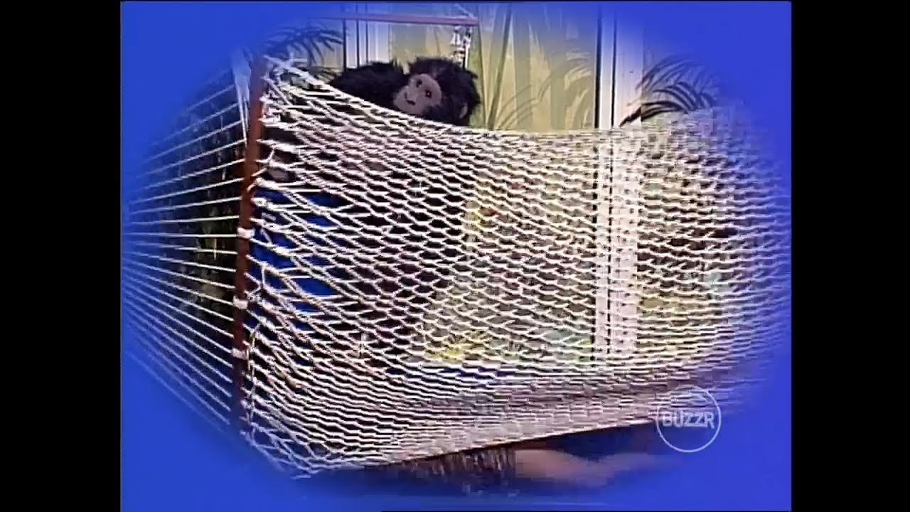 Cc89 491 Youtube
