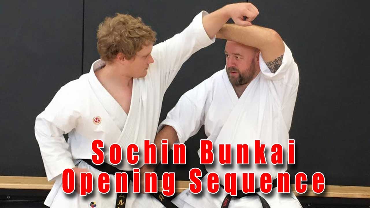 Karate Kata Bunkai Sochin Bunkai For Opening Movements Bunkai Of The