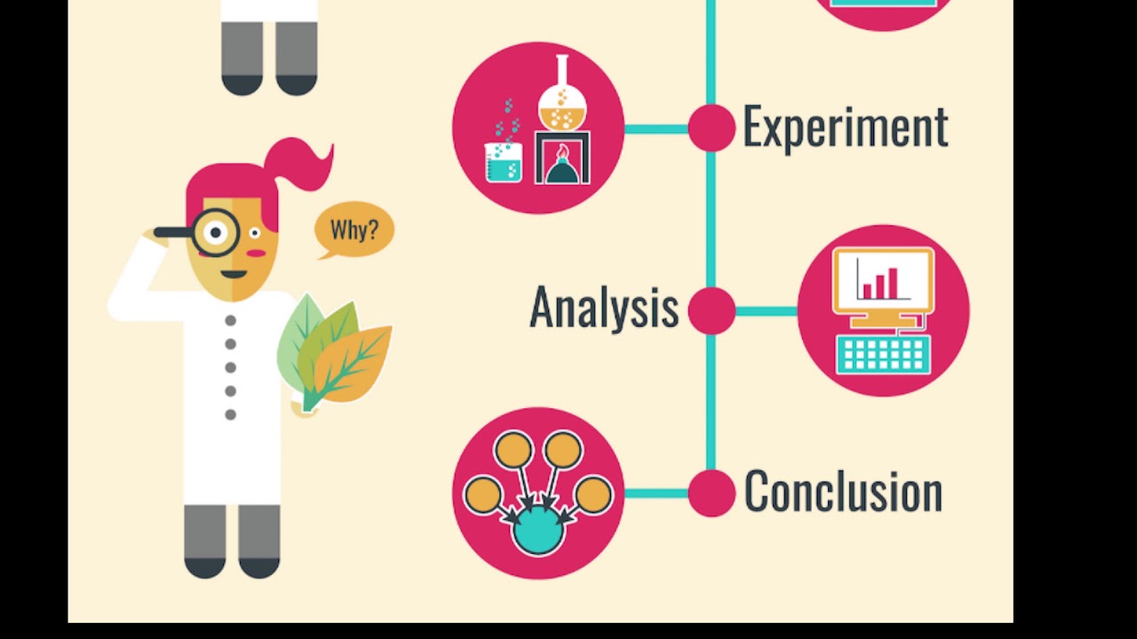 Draw Conclusions Based On Observational Data At Lisa Leach Blog