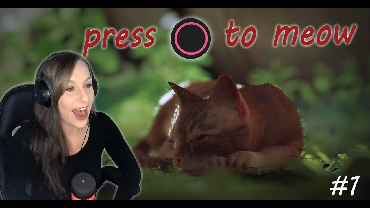 Stray Ep1 A Cat Simulator Youtube