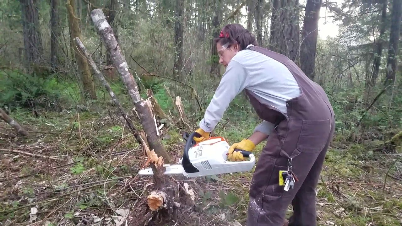 Learning To Use A Chainsaw Youtube