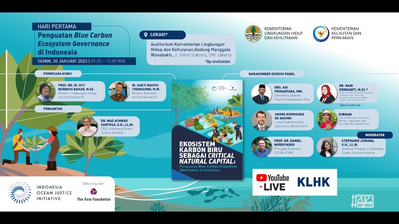 Penguatan Blue Carbon Ecosystem Governance Di Indonesia Youtube